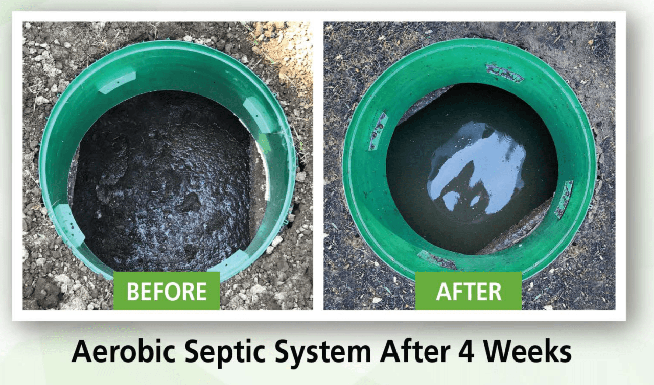 Effective Septic System Treatments & Solutions by HOTROD Septic